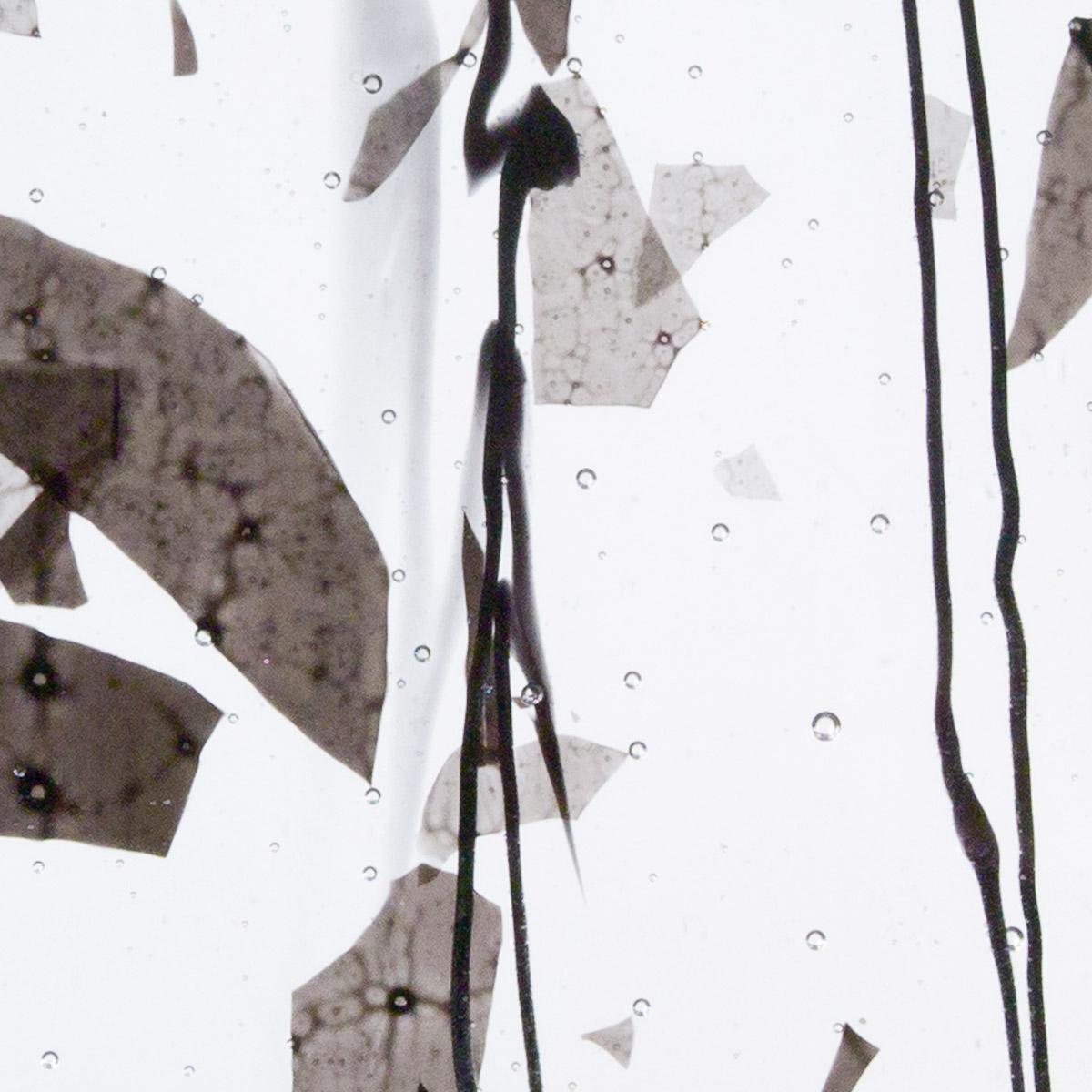 Black with Black Streamers on Clear Clear Base Collage, Single-rolled ...