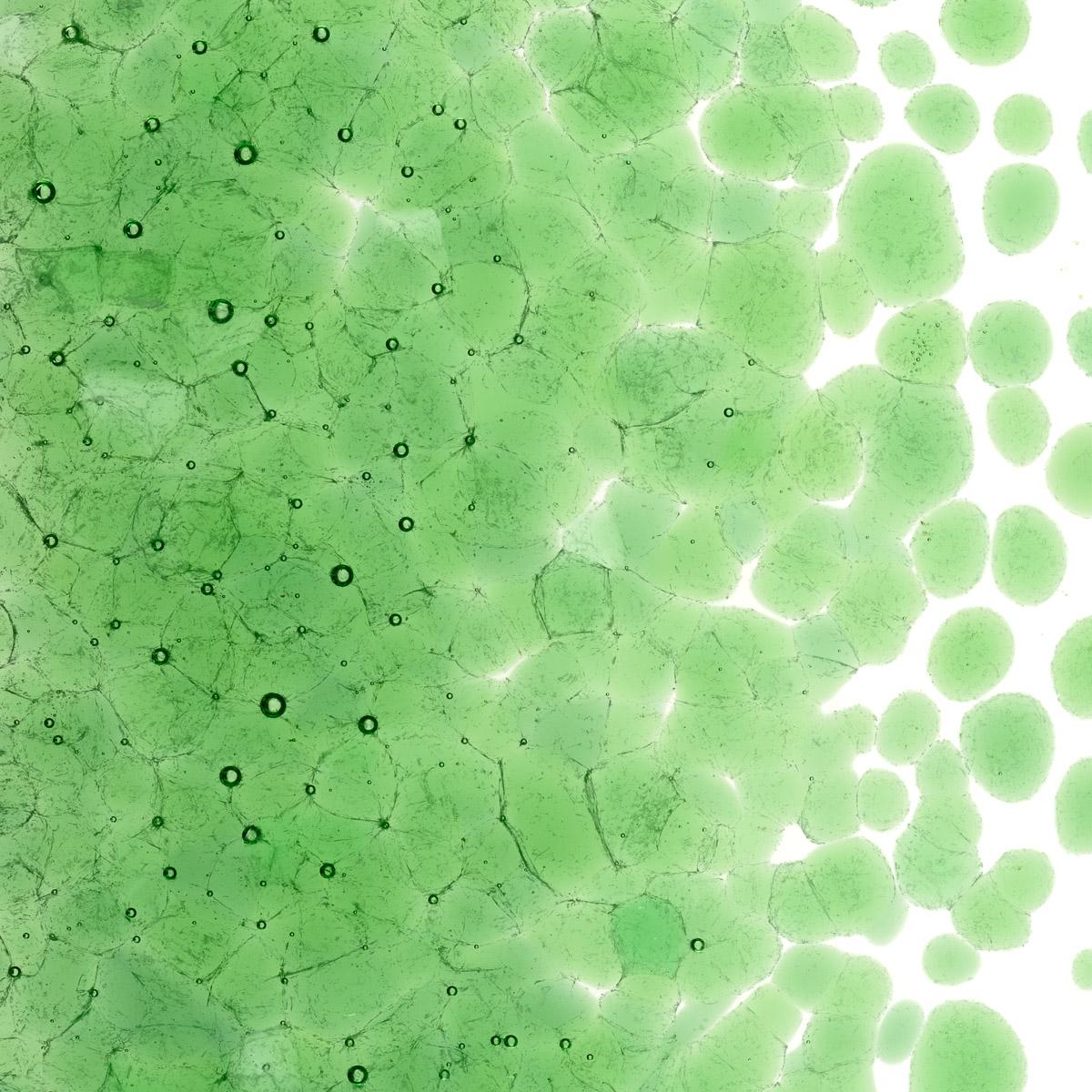 Light Green Transparent, Coarse Frit, Fusible