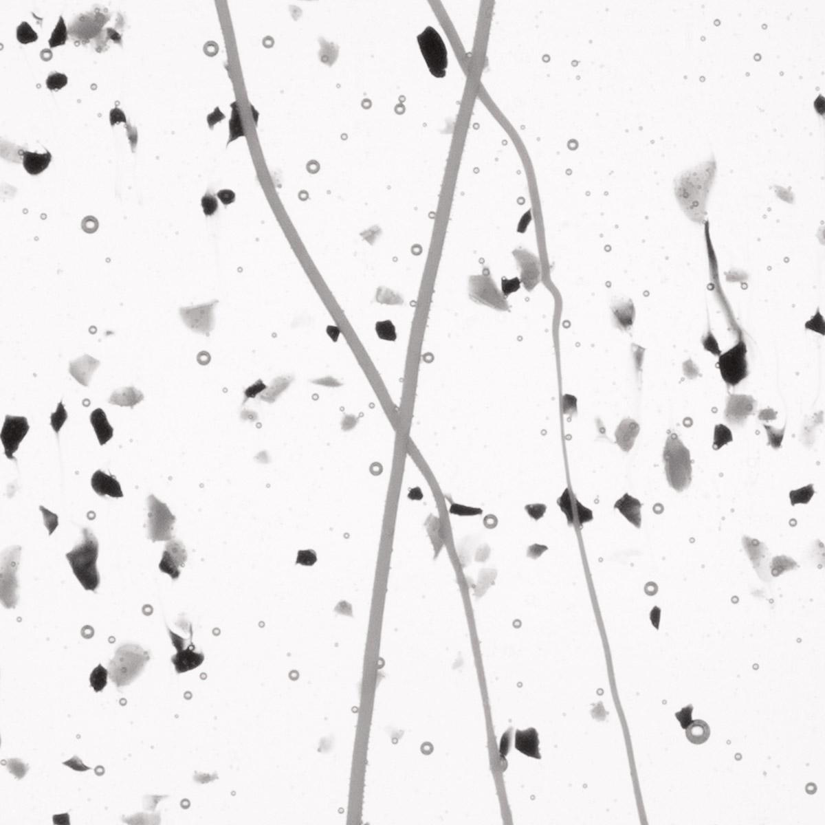 Gray and Black Frit, White Streamers Clear Base Collage, Non-Fusible ...